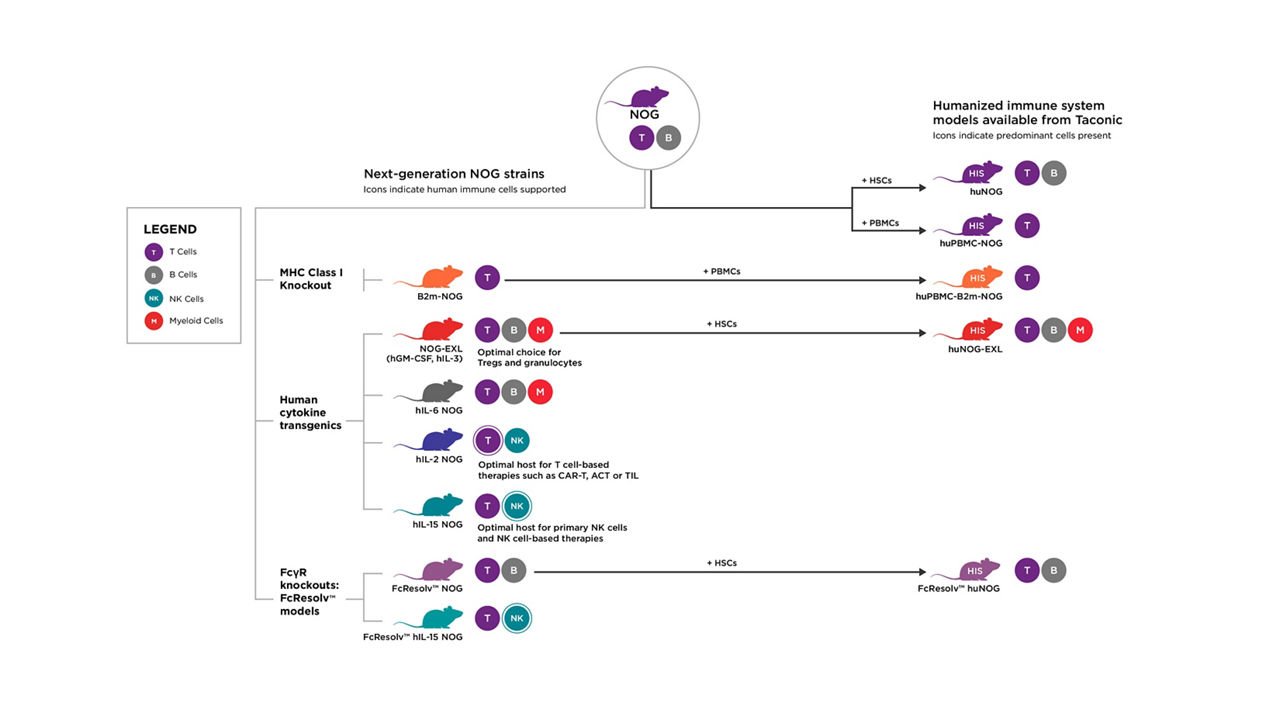 NOG Portfolio | Taconic Biosciences