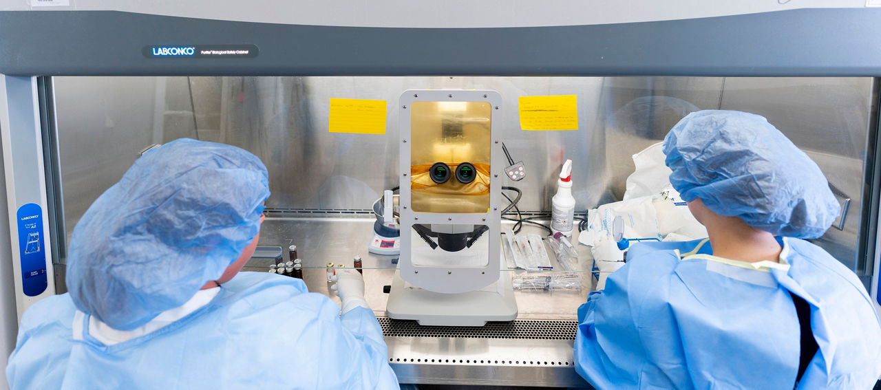 Genetically Engineered Rodent Models and Humanized Mice | Taconic Biosciences