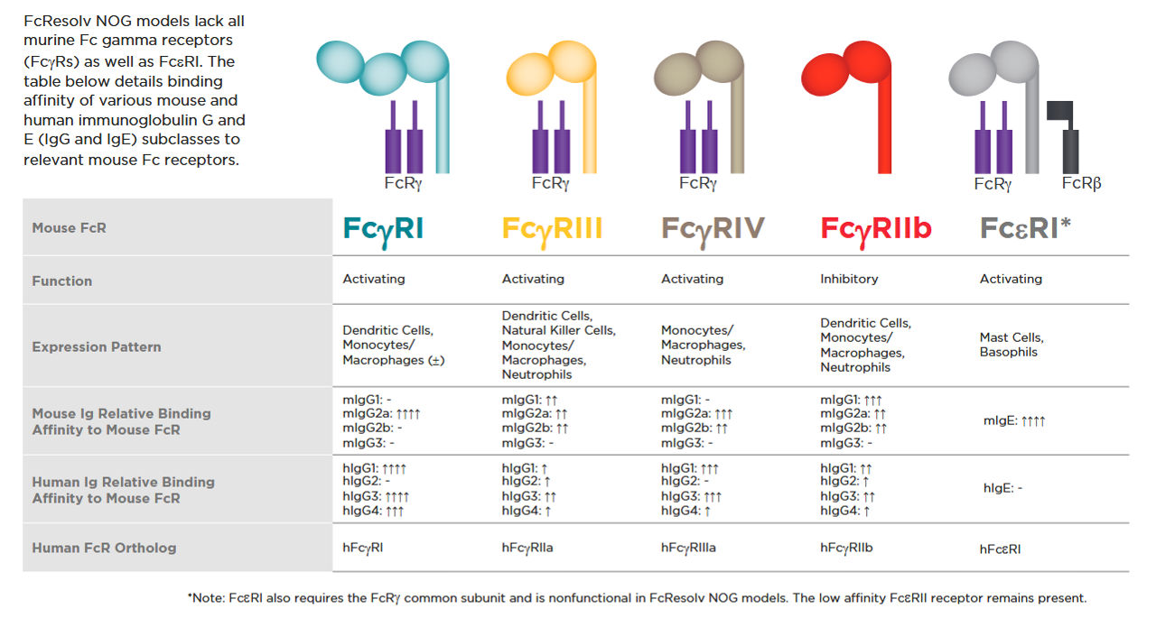 FcResolv® NOG Portfolio | Taconic Biosciences