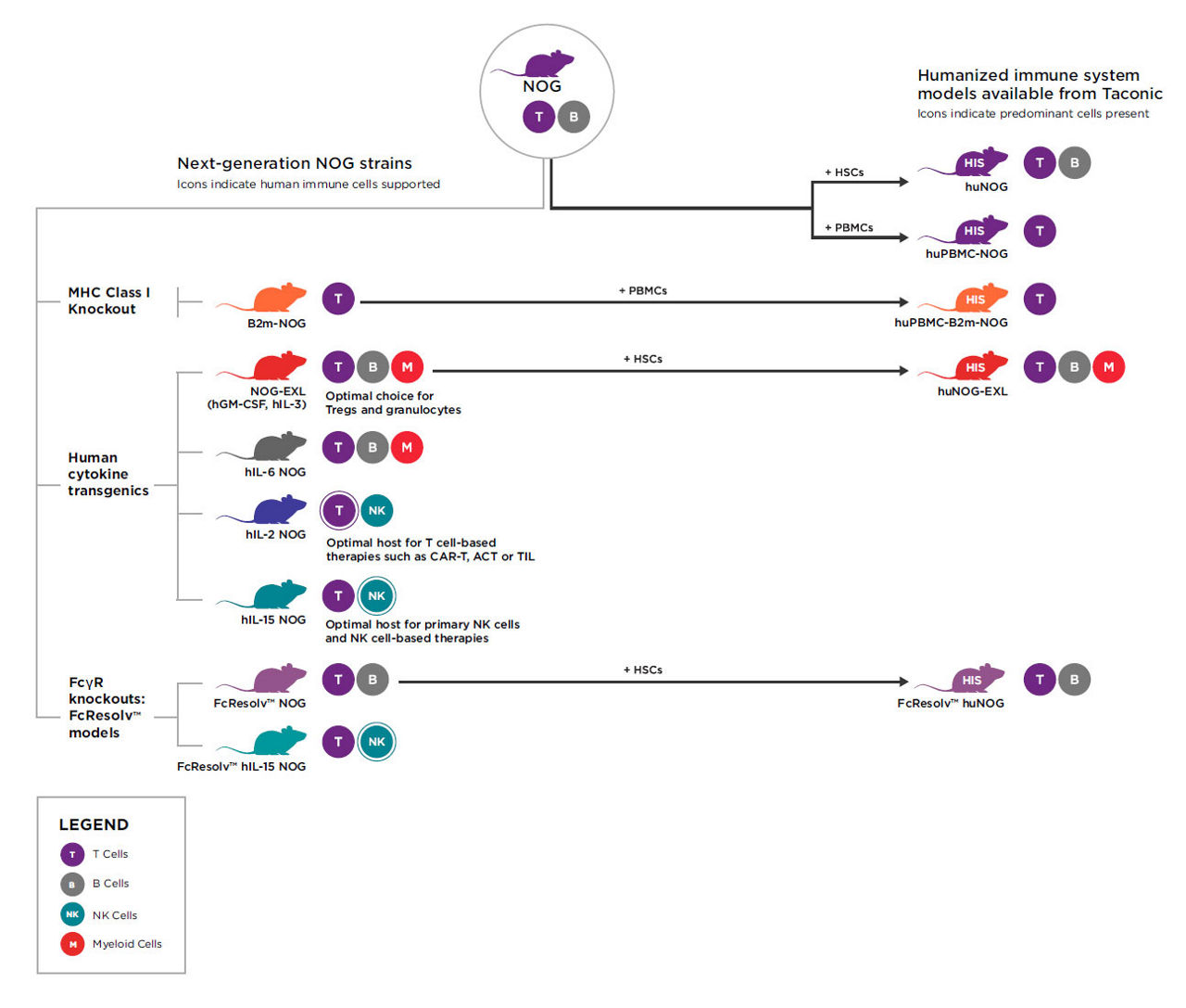 Next-Generation NOG Models | Taconic Biosciences